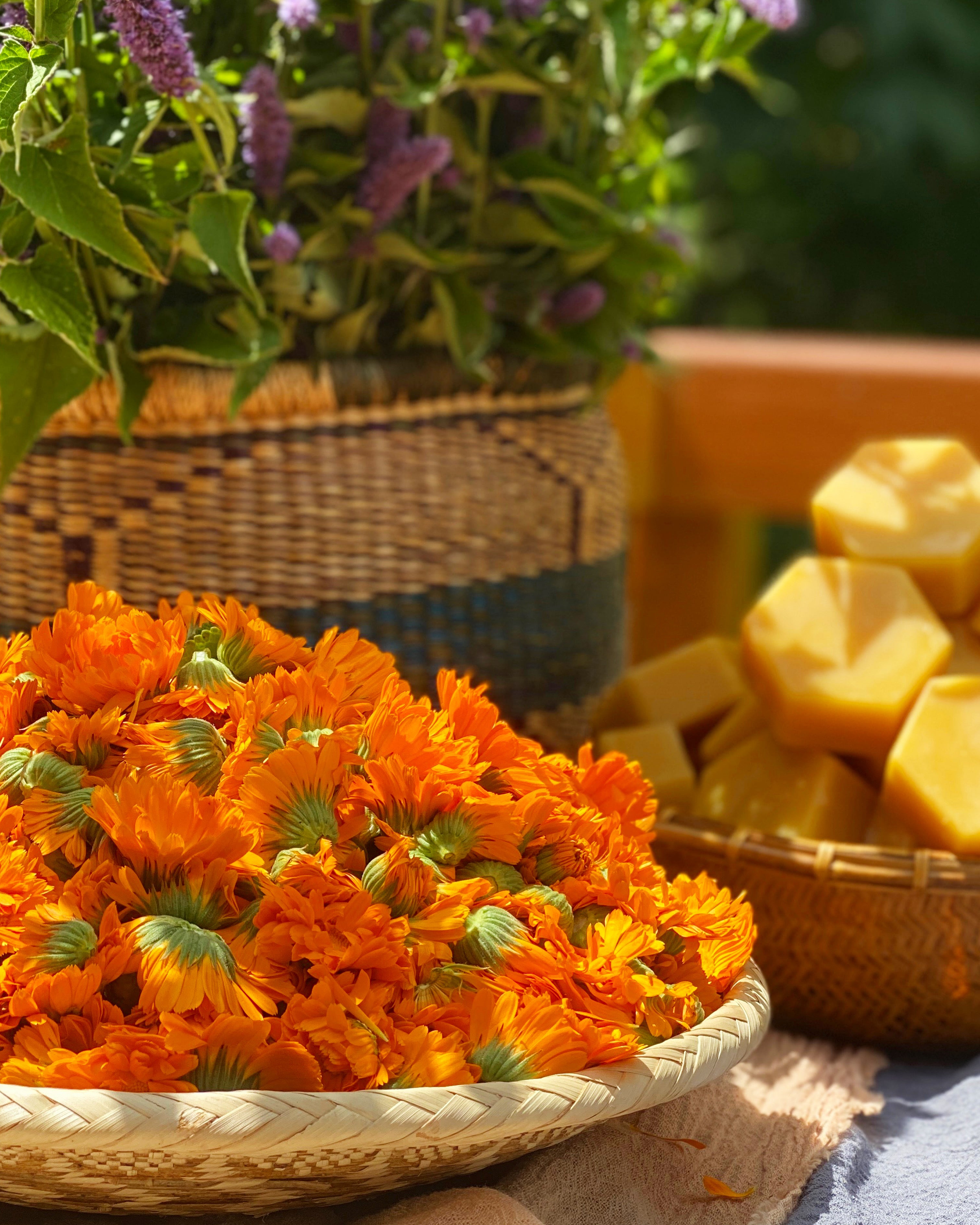 Why Orange Hued Plants Are Beneficial for Skincare – Live Botanical