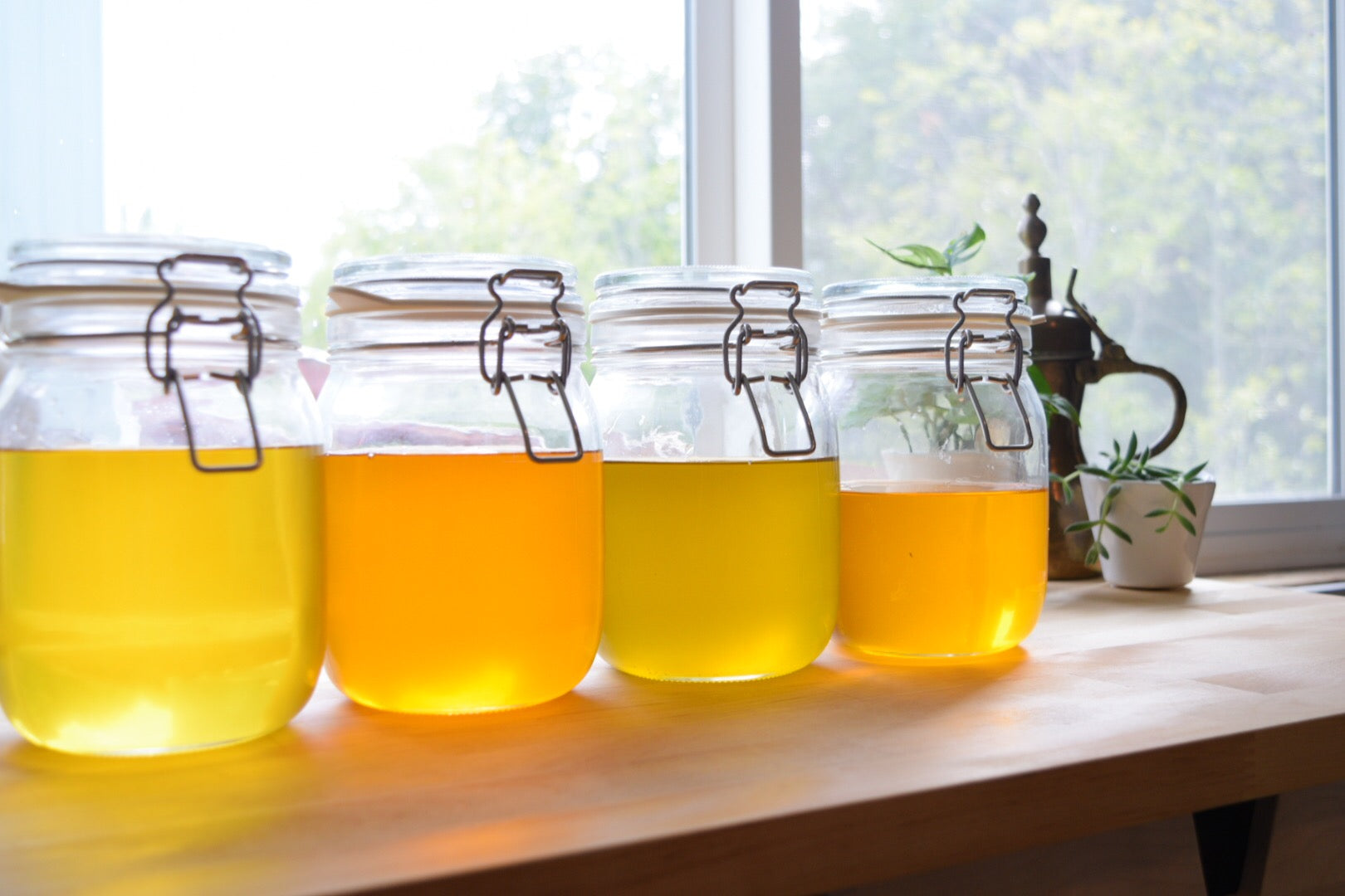 The Different Types of Oil Cleansers – Live Botanical