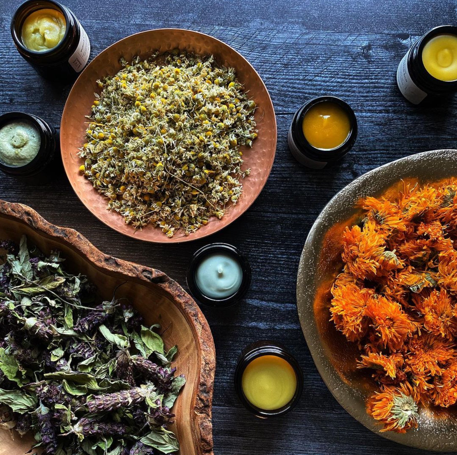 Benefits of Herbal Balms and Supporting Dry Conditions – Live Botanical