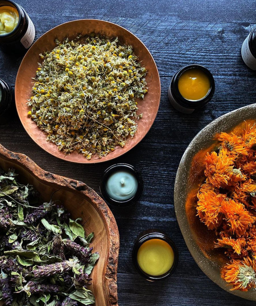 Benefits of Herbal Balms and Supporting Dry Conditions – Live Botanical