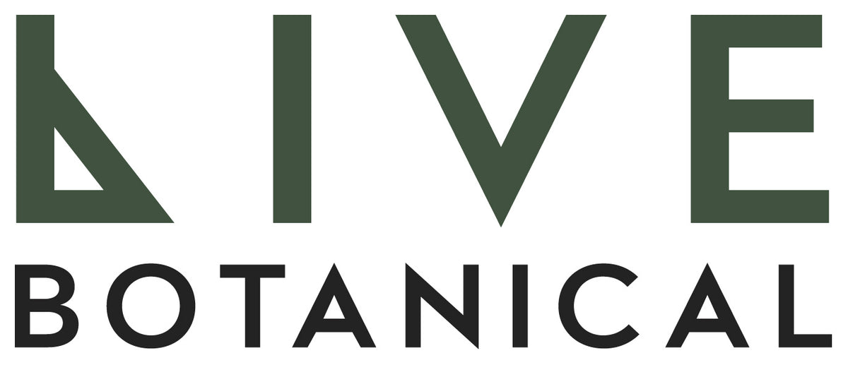 Explore the Apothecary – Live Botanical